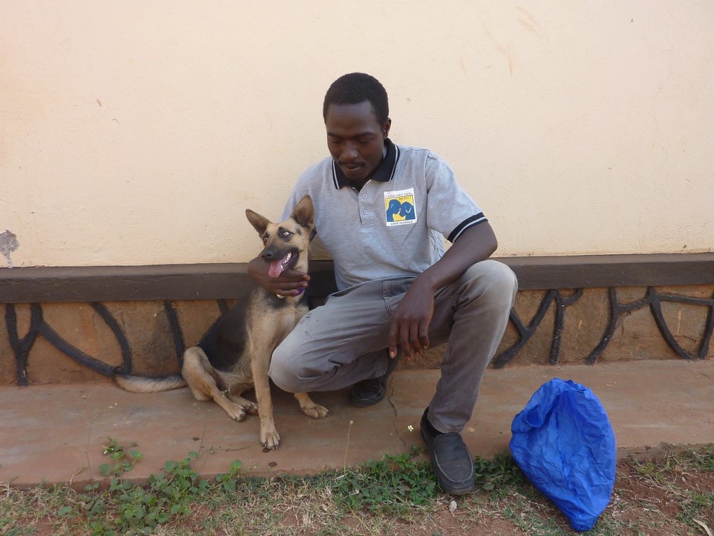 Francis Okello Oloya, Comfort Dog Project, Gulu, Uganda - The ...