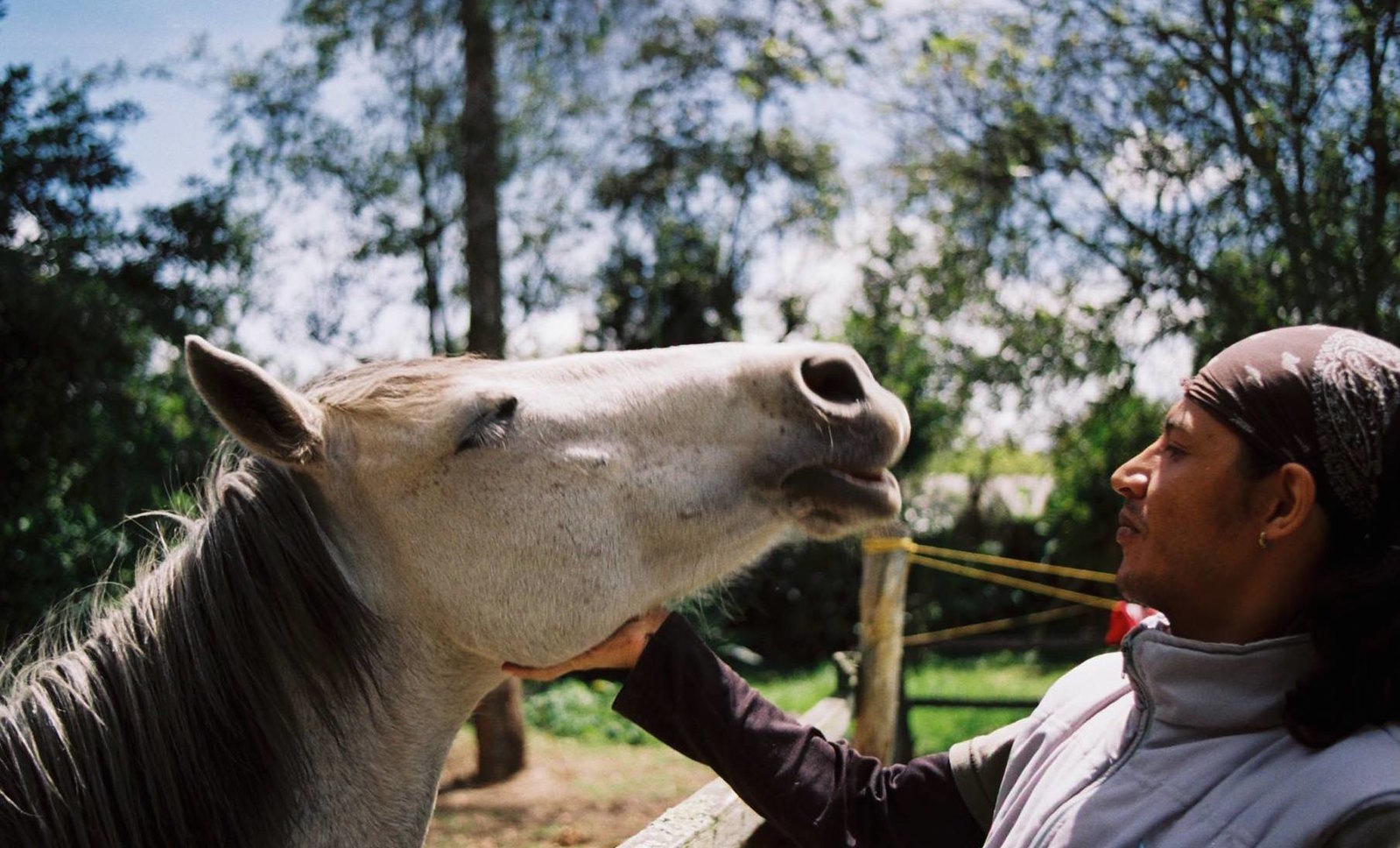 TPP Is Now Accepting Applications for Animal Advocacy Projects - The ...