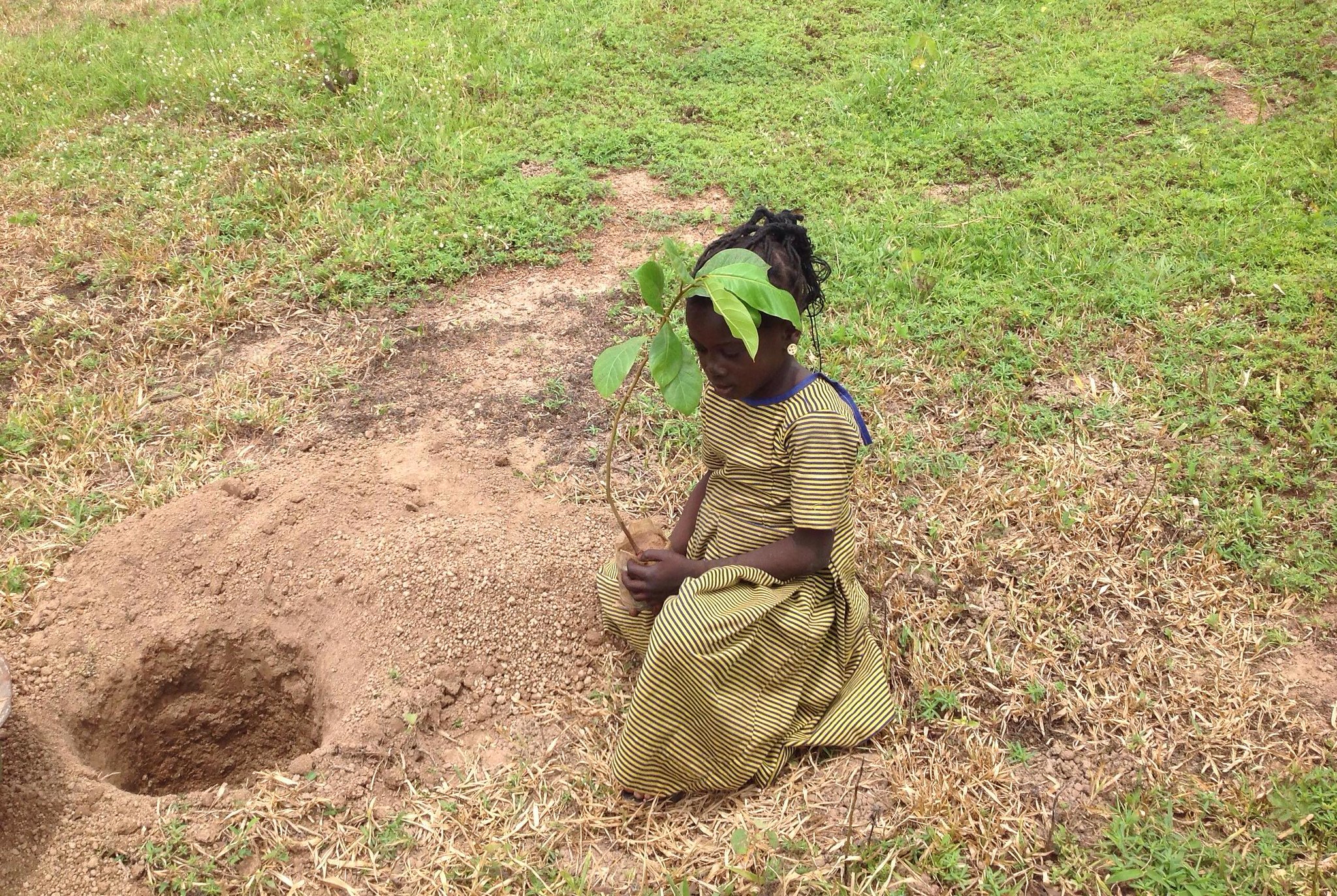 Engage Globally: planting trees to save a community