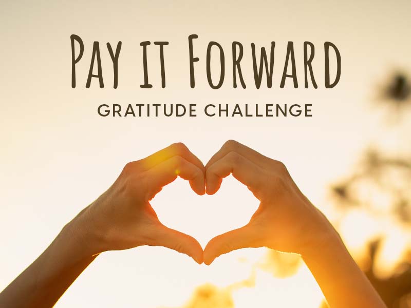 Micro Grants for Social Change | The Pollination Project