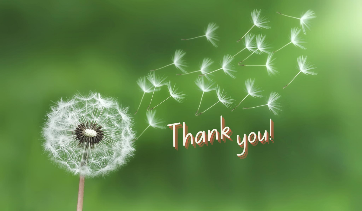 Thank you TPP Volunteers - The Pollination Project