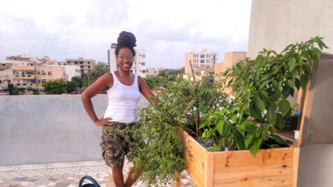 Our Approach - The Pollination Project