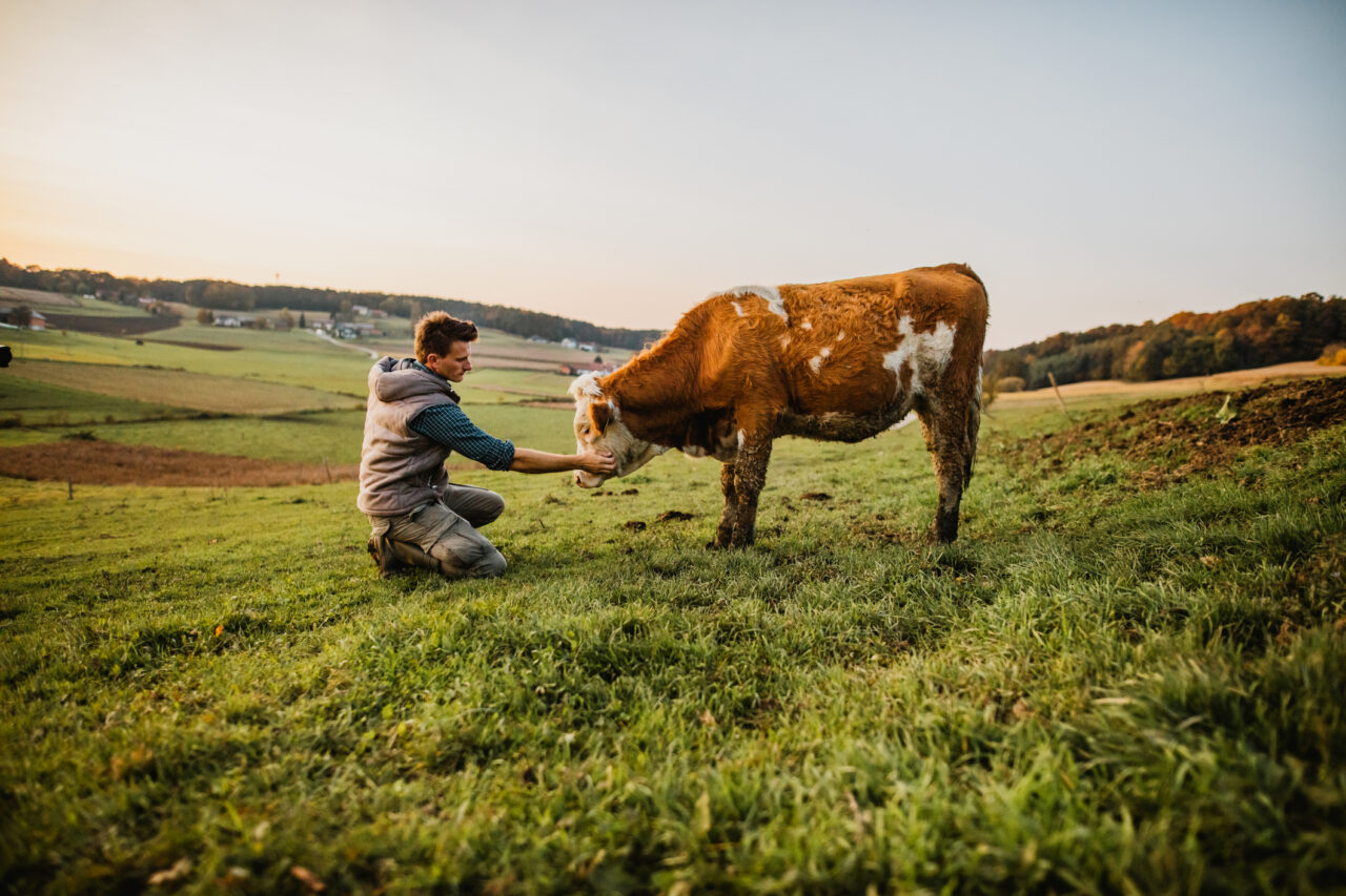 Global Animal Advocacy - The Pollination Project