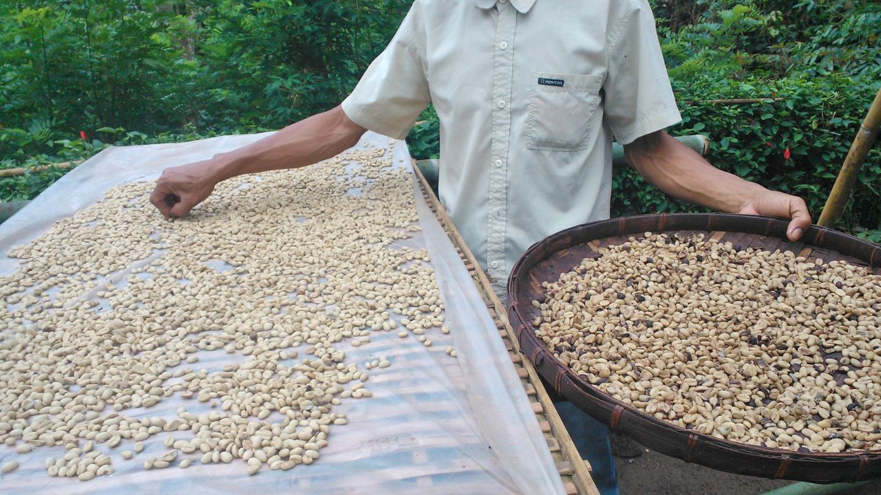 One Farmer, One Contract: Strengthening Coffee Communities