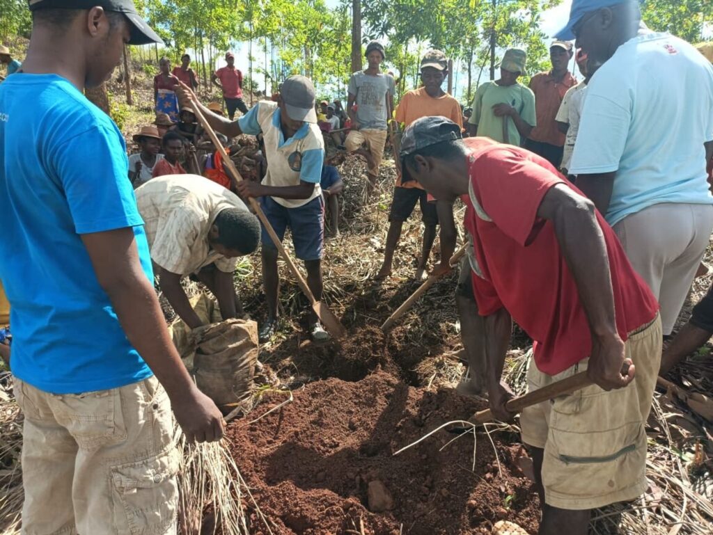Agroforestry Rooted in Community Vision